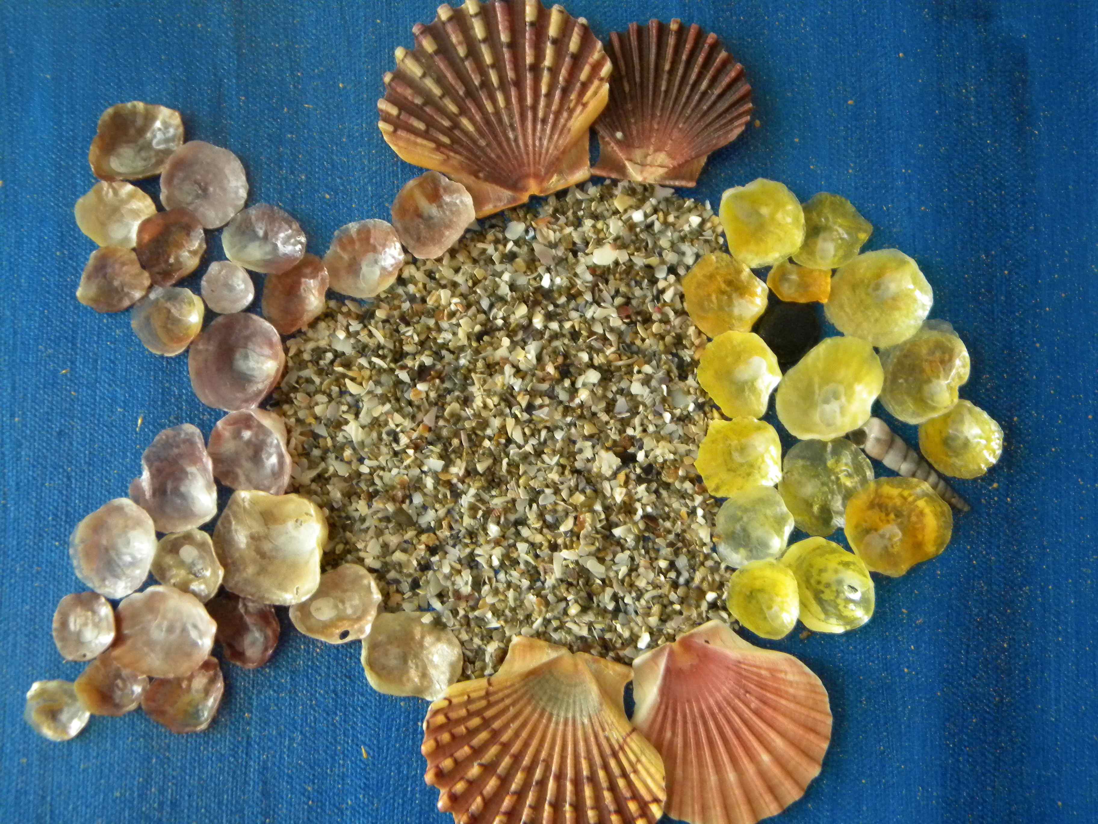 Atelier loisirs créatifs. – La Voie de la Métamorph'Ose